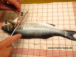 Fisch ausnehmen, schuppen und filetieren