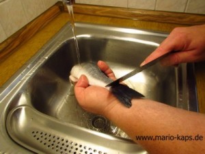 Fisch ausnehmen, schuppen und filetieren